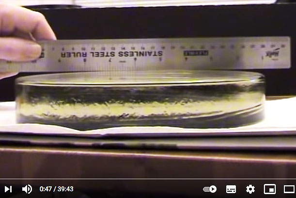 Vacuum Coatings Scientific Mirrors - Telescope making supplies